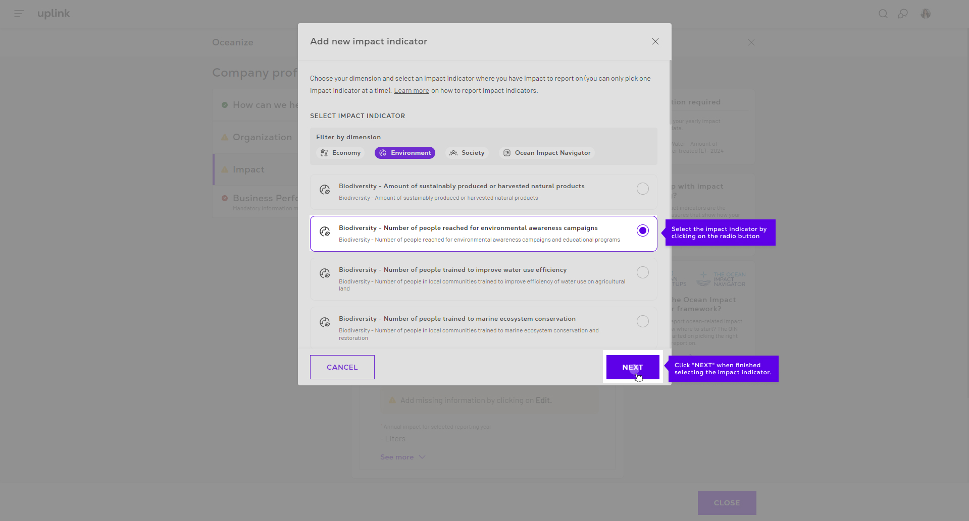 Annual Impact Reporting