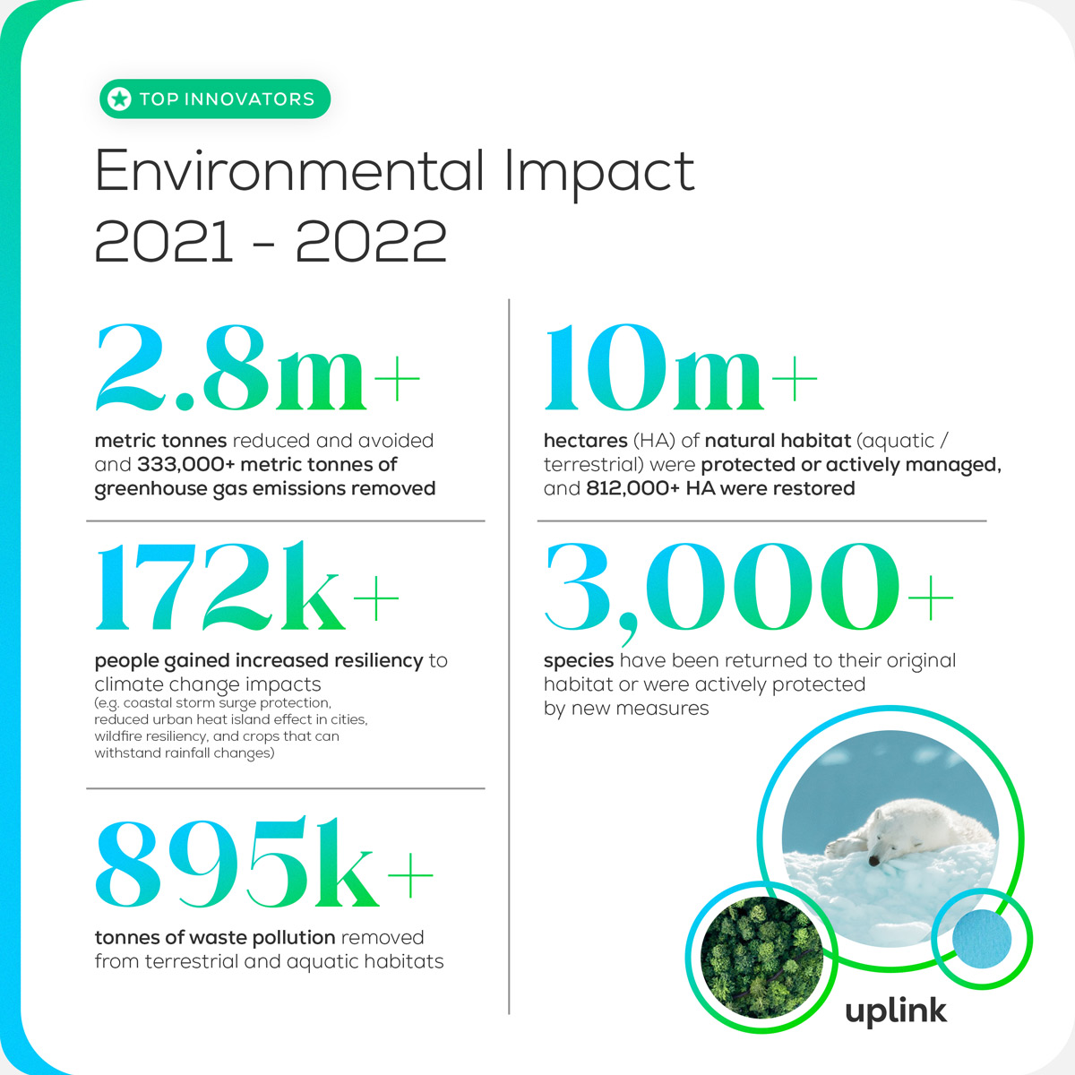 Impact Report 2021 2022 Environment