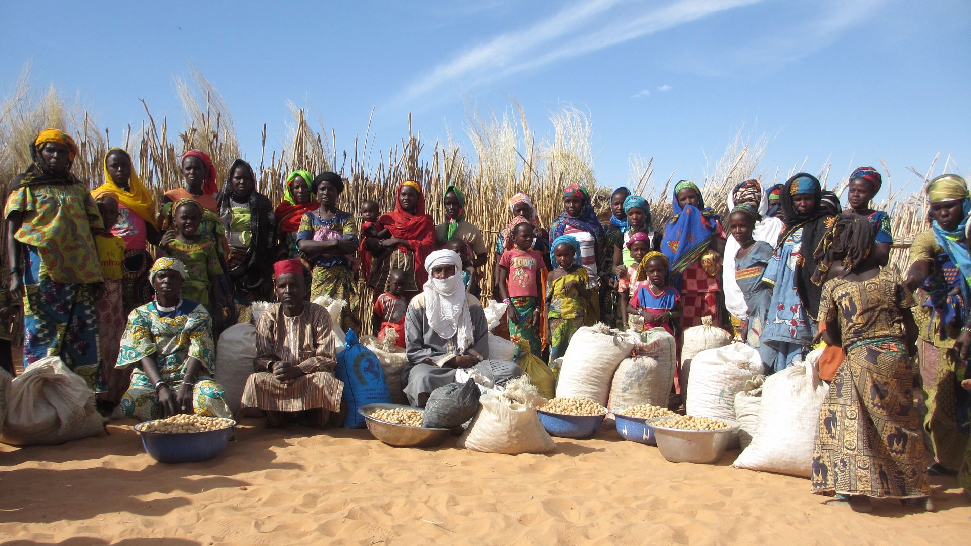 Contribution: Sahara Sahel Foods: Using forgotten native dryland trees ...