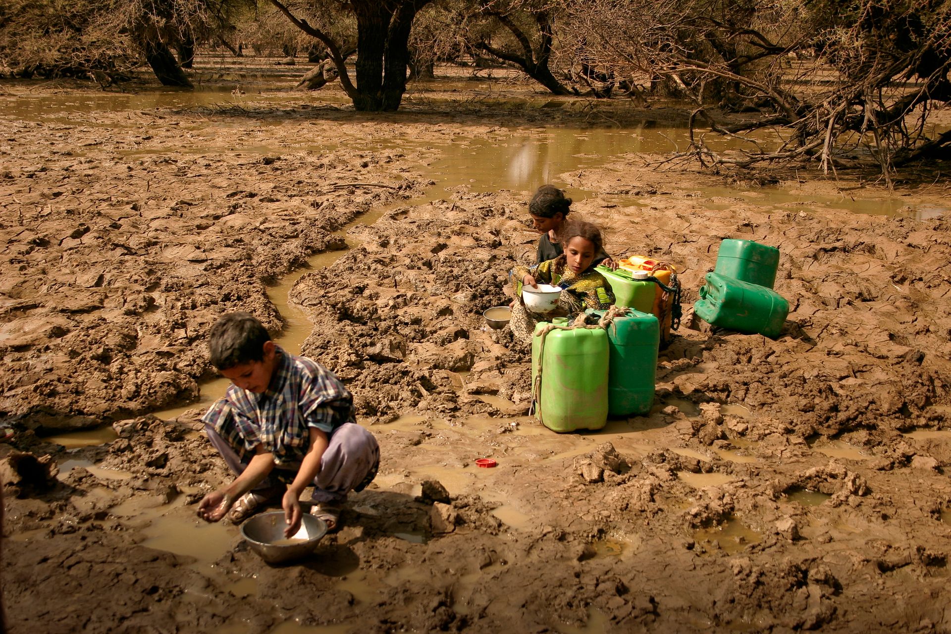 Amman Imman: Amman Immam: Landscape Restoration for Ecosystem Recovery ...