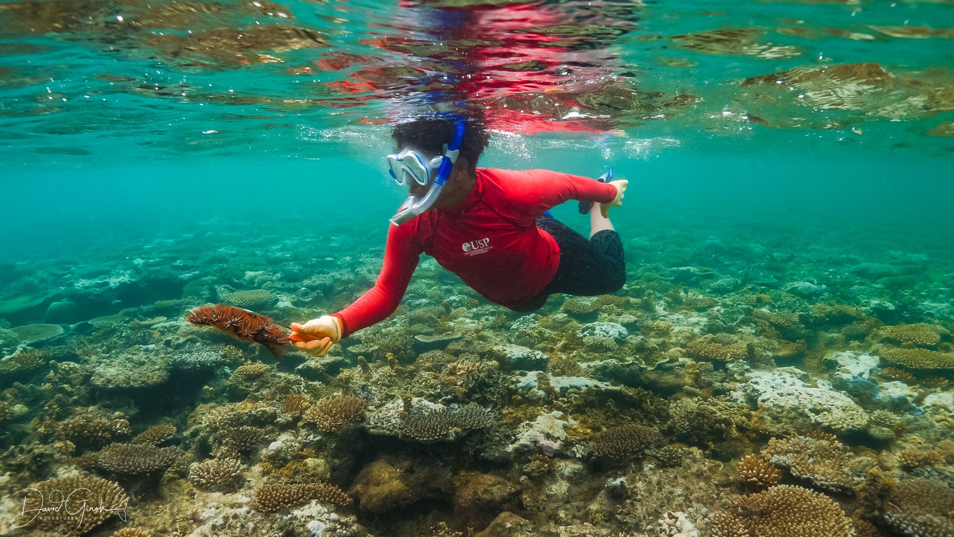 Contribution: Enhancing community food security through coral reef ...