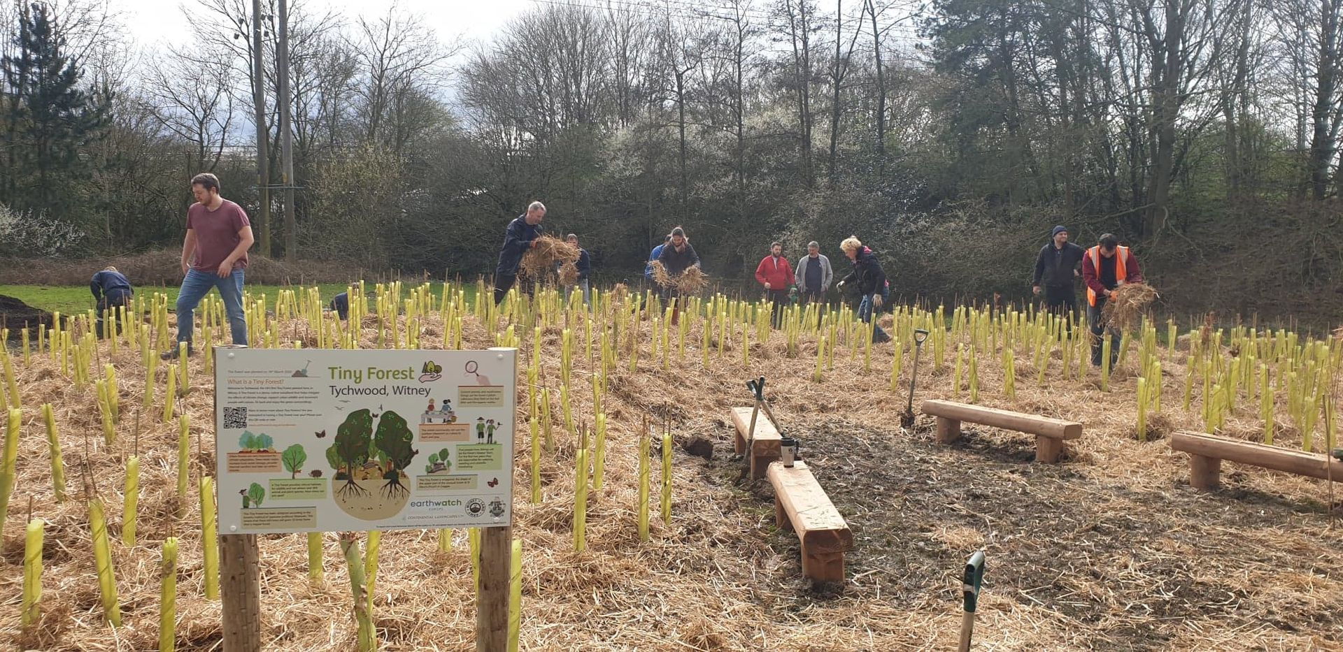 Earthwatch Europe: Earthwatch: Tiny Forest Movement for Greener Cities - UpLink - Contribution