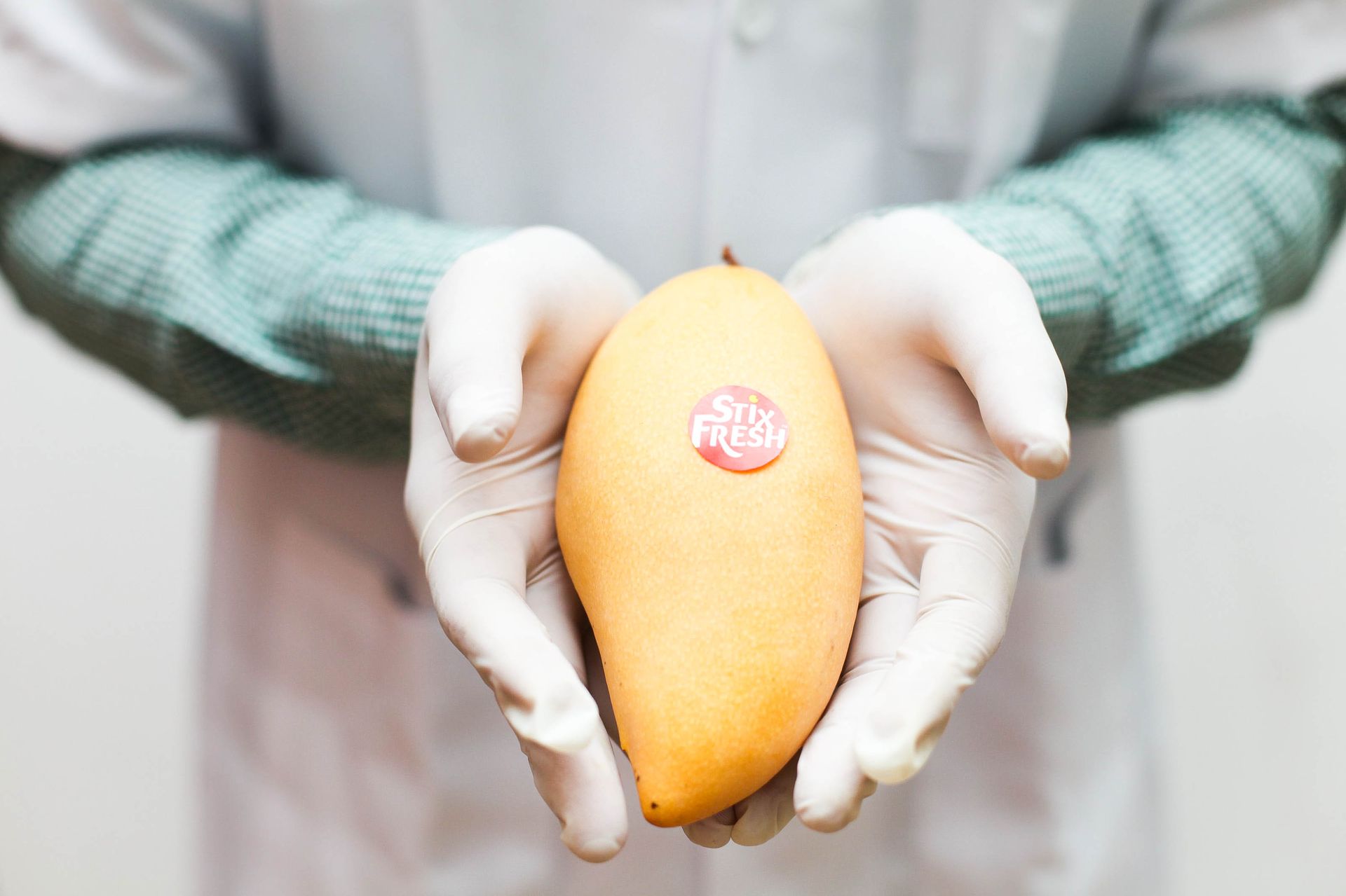 Contribution: StixFresh - Protect you fruits, stays fresh longer