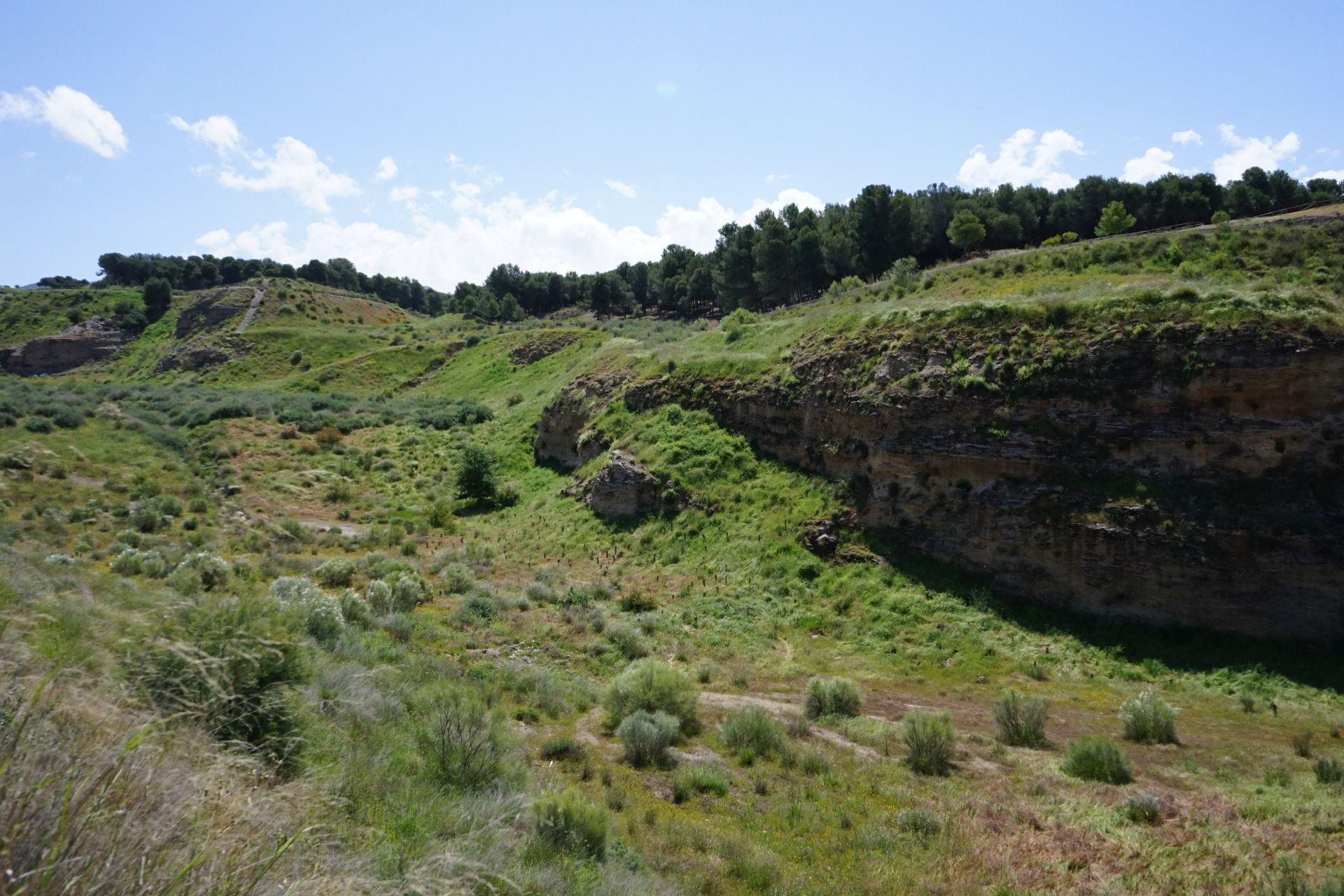 Tercer Paisaje: Cábula Initiative - UpLink - Contribution