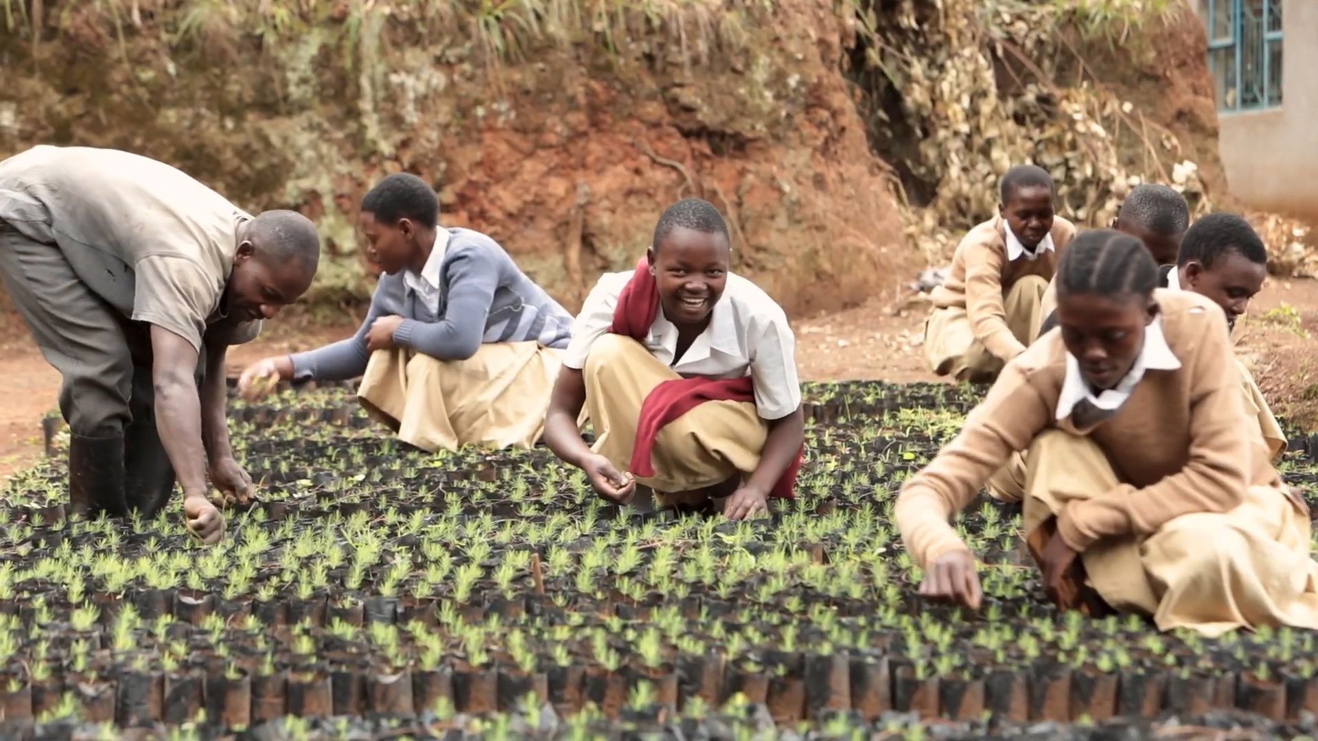 Contribution: Greenstand's Treetracker App