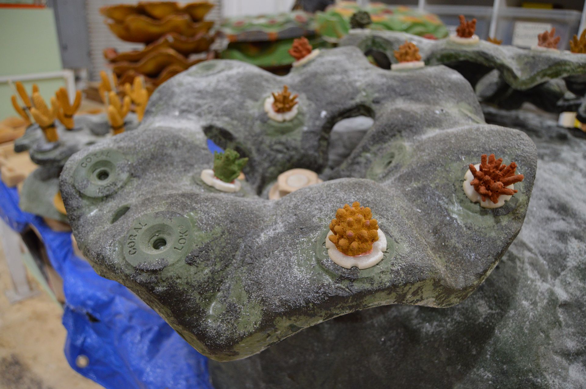 Ocean Rescue Alliance: The Coral Lok - enhancing coral out-planting ...