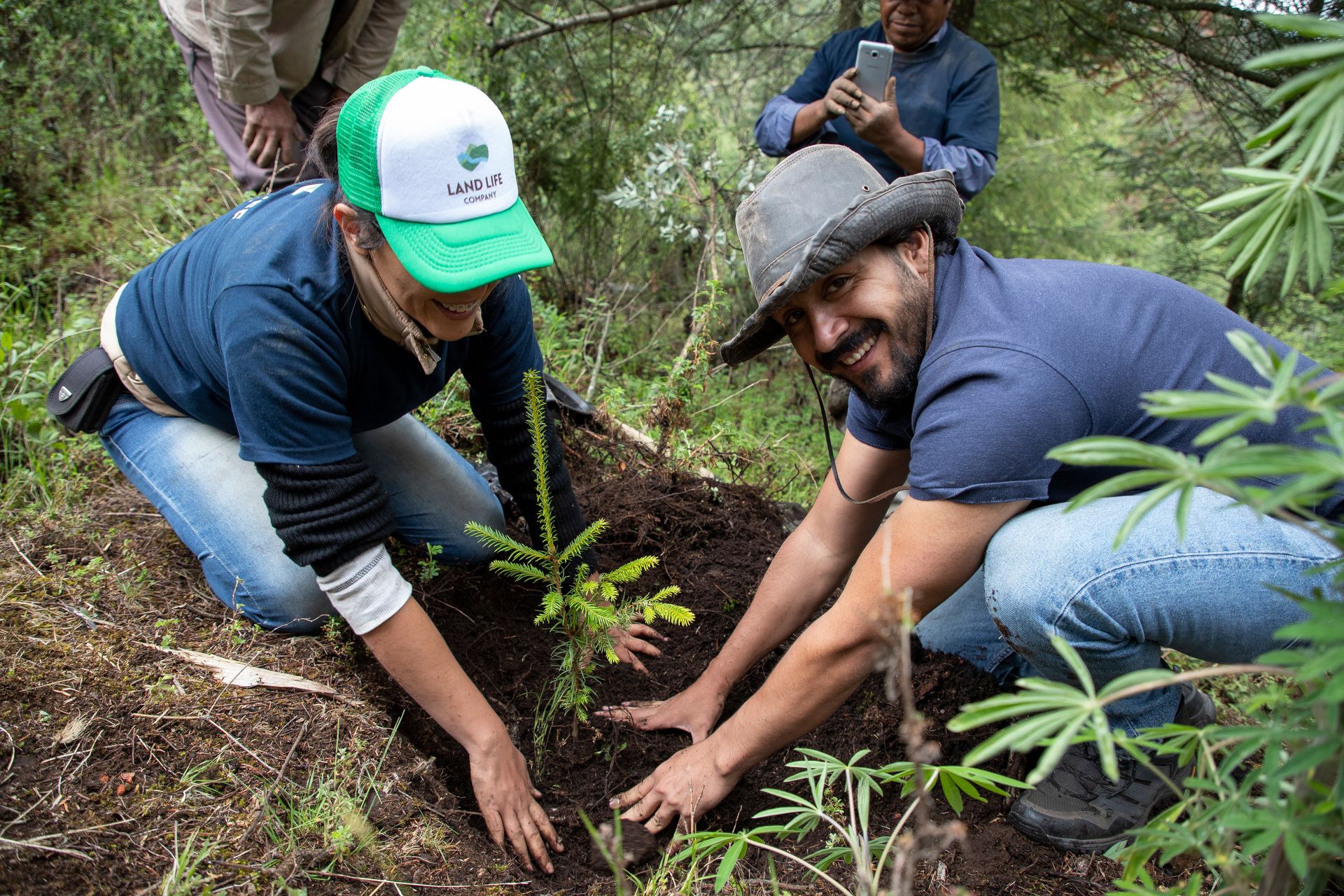 Land Life Company: Large-scale reforestation enabled by tech and data ...