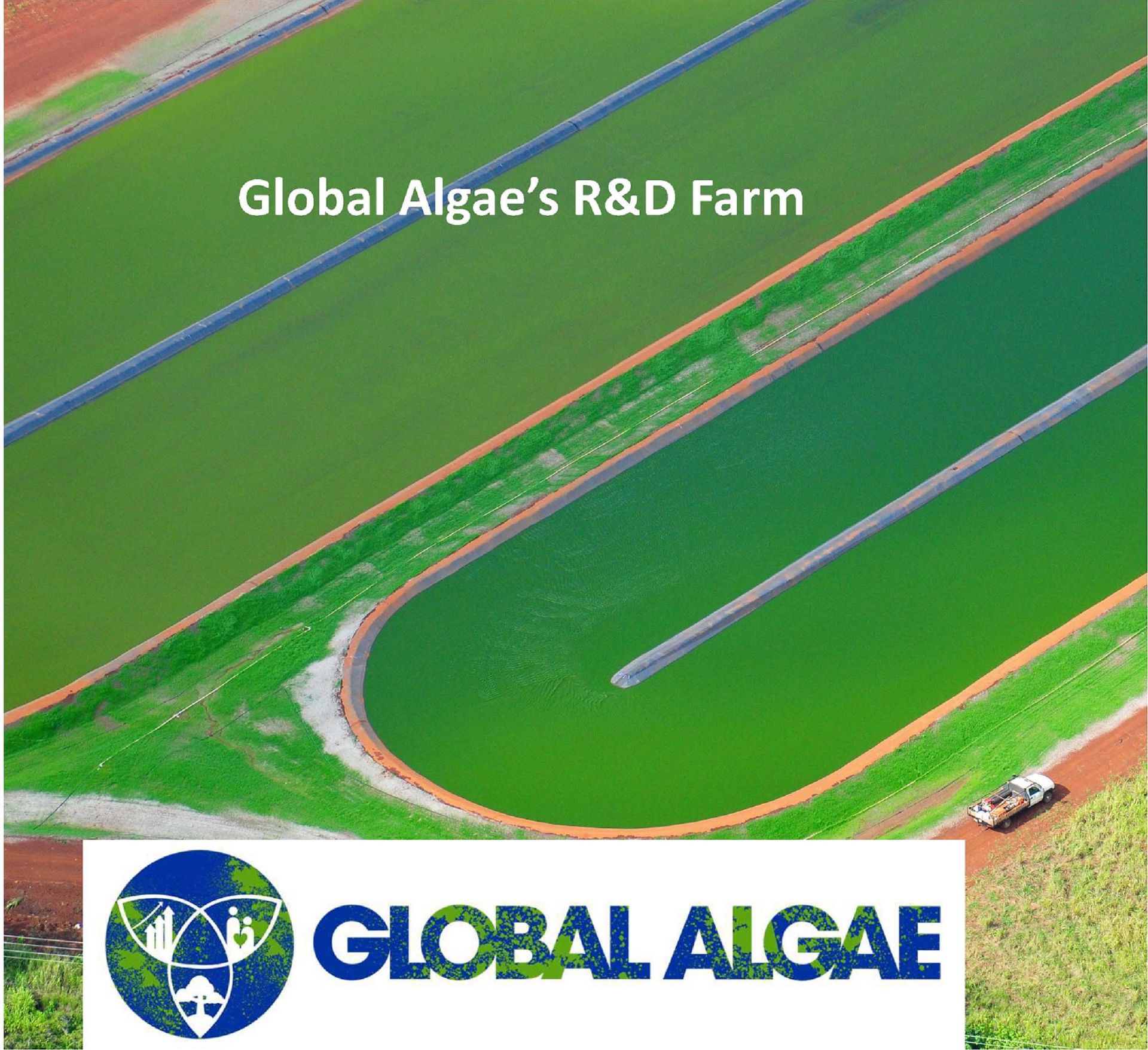 Global Algae Holdings Inc.: Global Algae - UpLink - Contribution