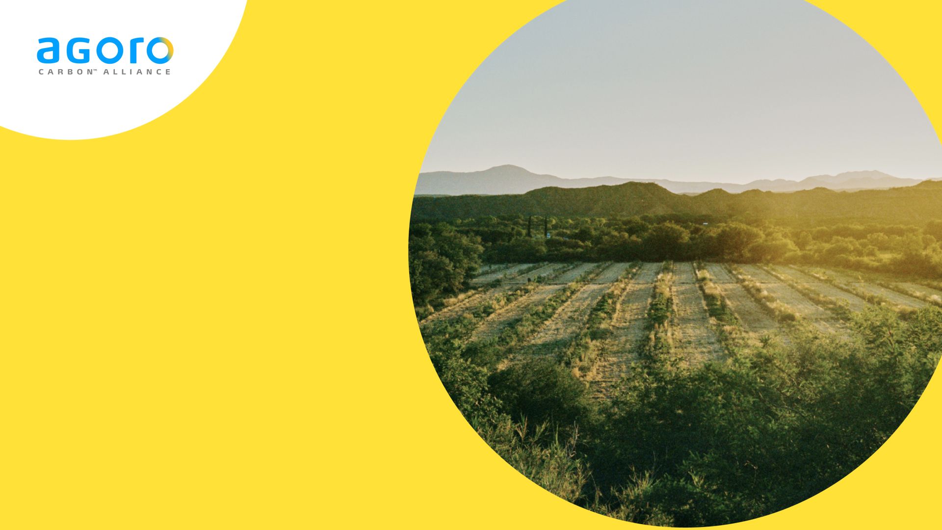 Agoro Carbon Alliance: Agoro Carbon Sustainable Agriculture in the USA ...