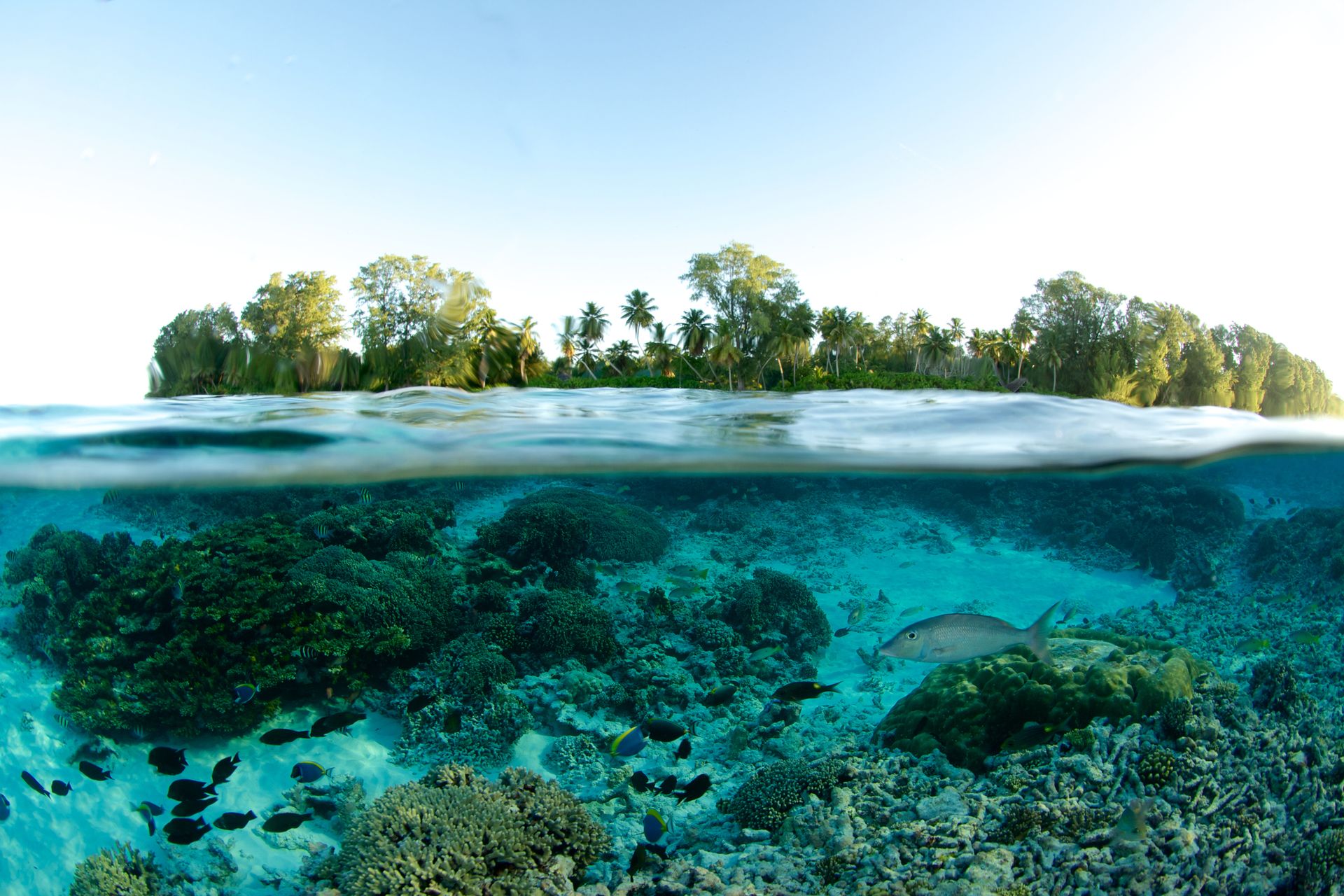 Ocean Risk and Resilience - UpLink - Challenge