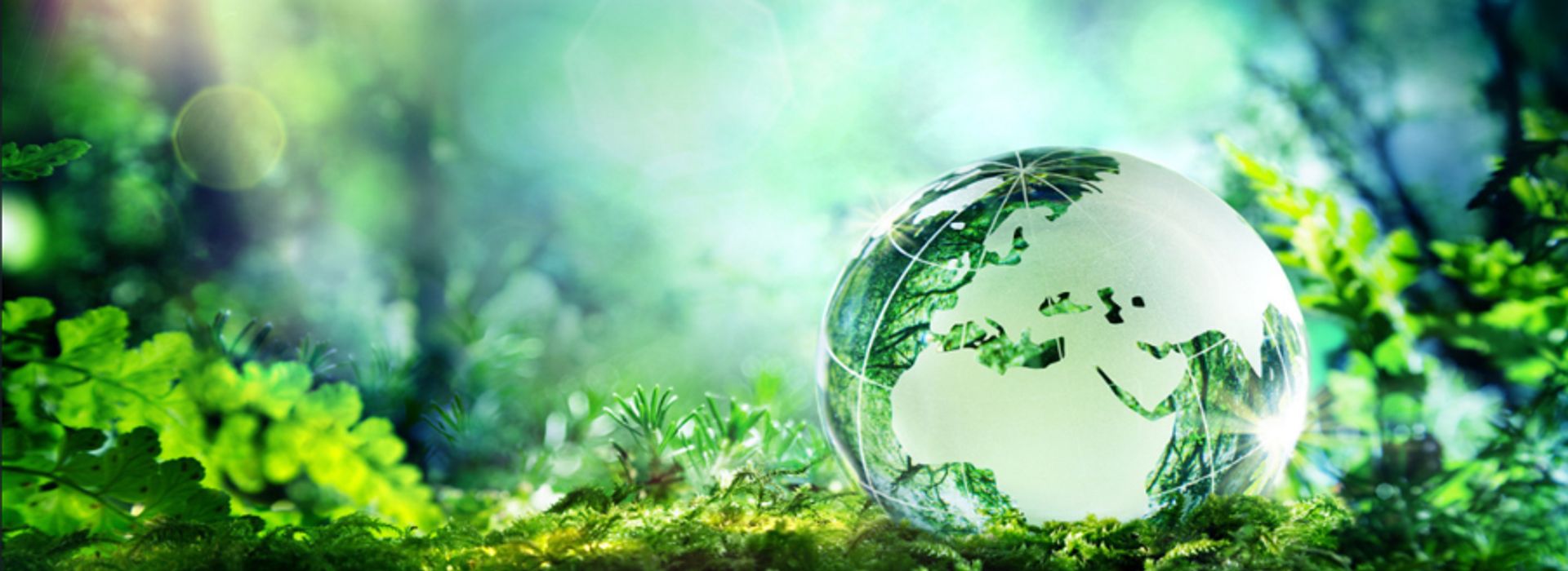 Tropical Forest Commodities Challenge - UpLink - Challenge