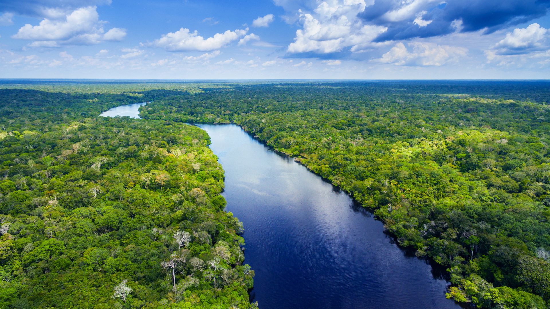 2021 Trillion Trees: Amazon Bioeconomy Challenge - UpLink - Challenge