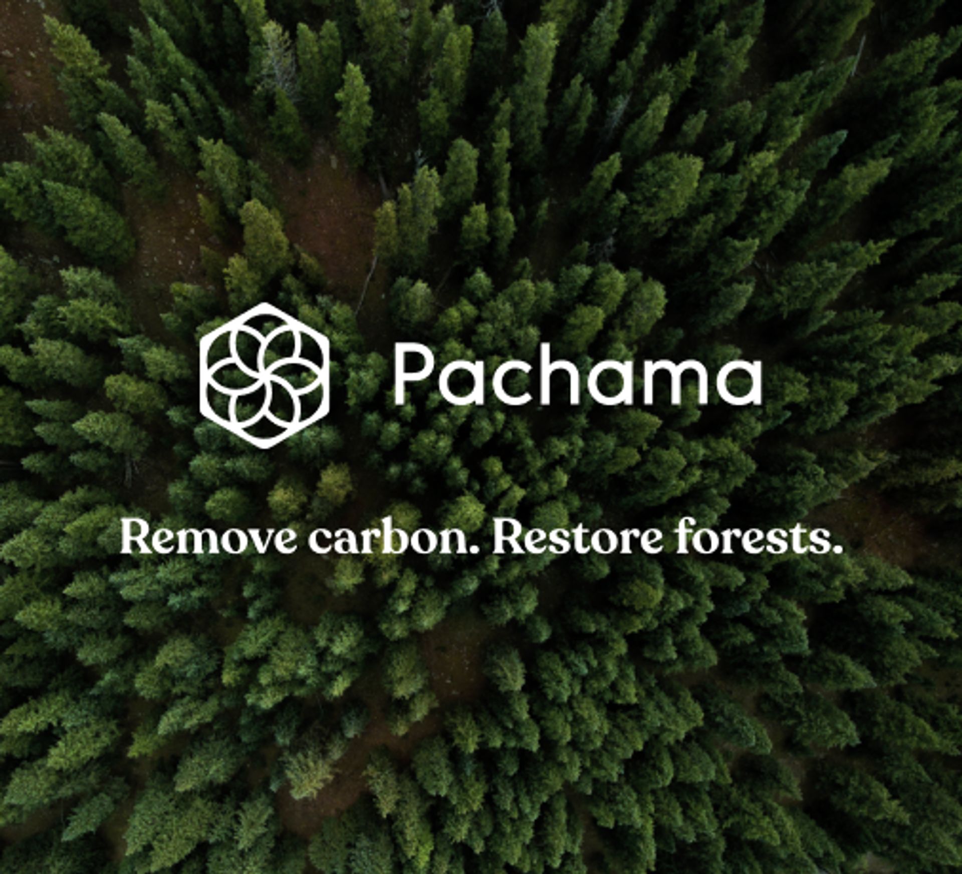 Contribution: Pachama: Forest Carbon Credits