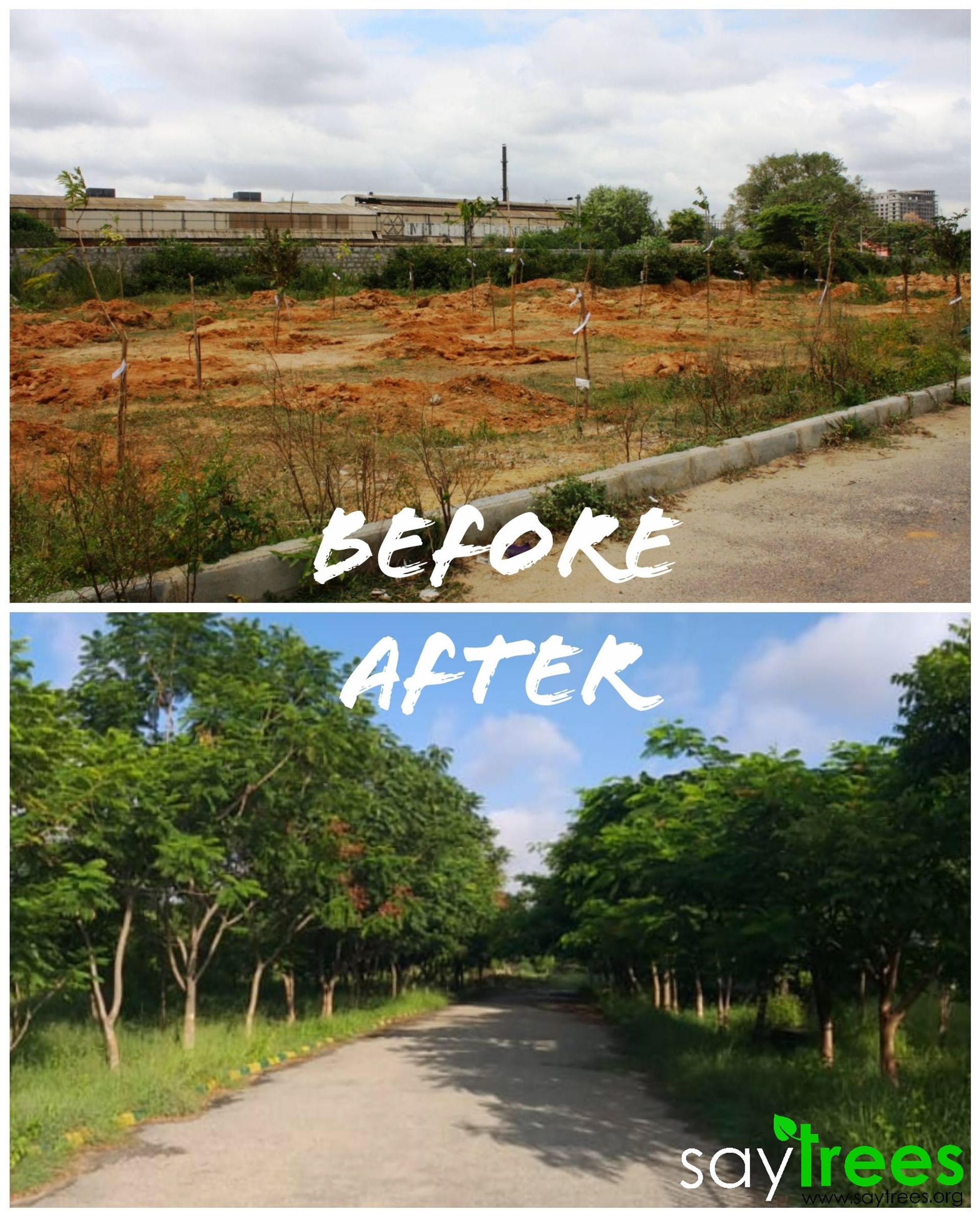 Contribution: Restoration of Degraded Lands and Livelihoods through ...