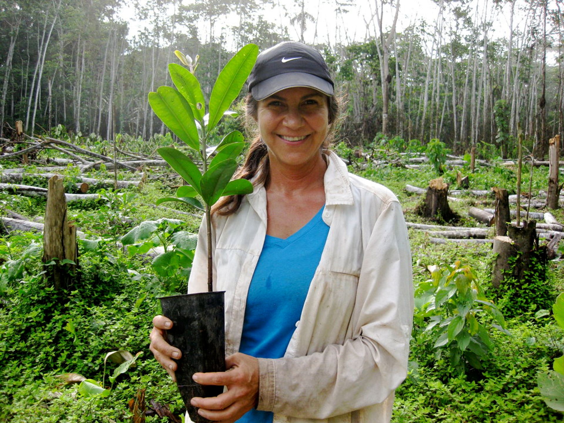 Forestmatic - UpLink - Contribution