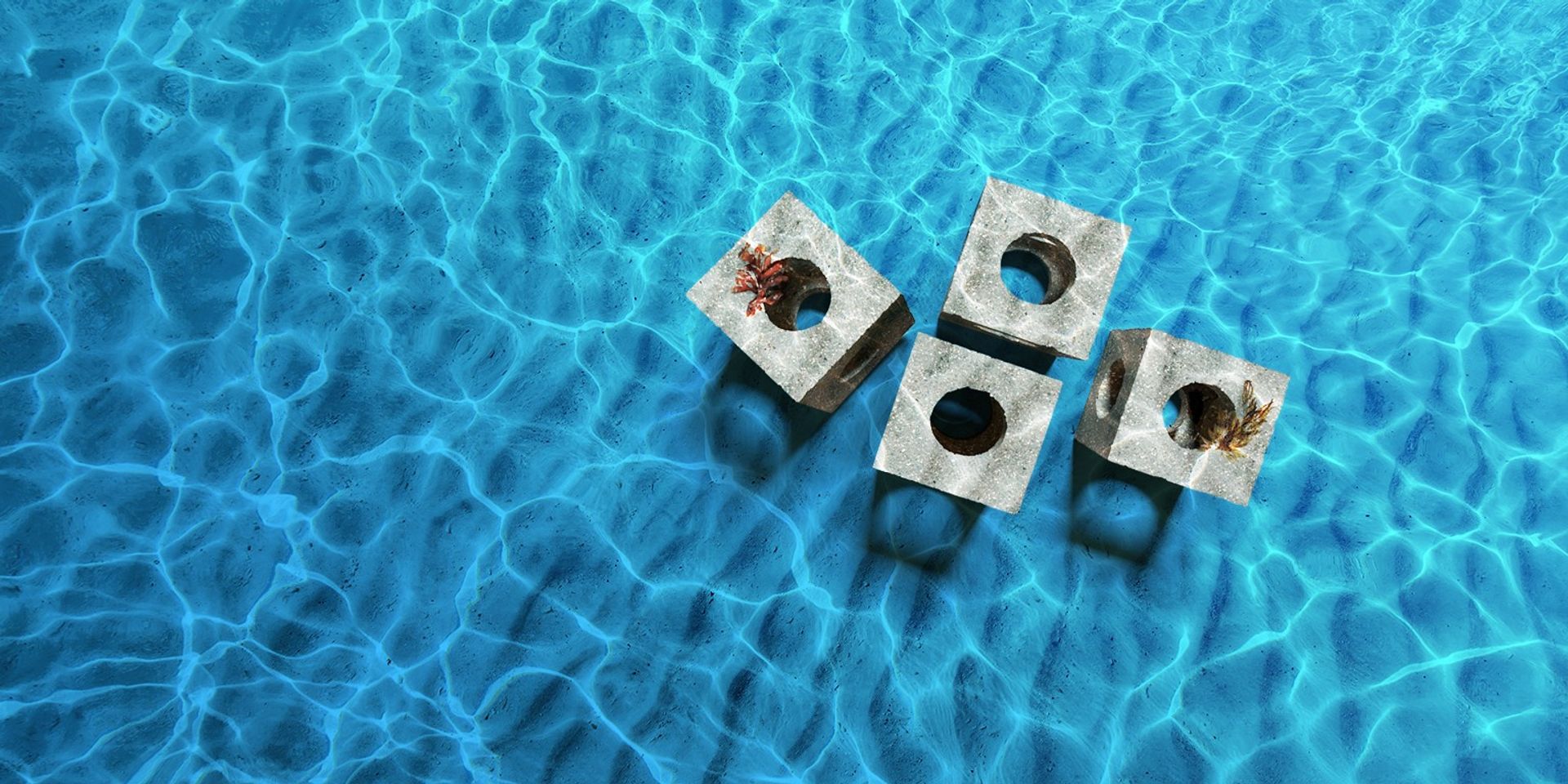 Contribution: Reef cubes: Building blocks for the ocean