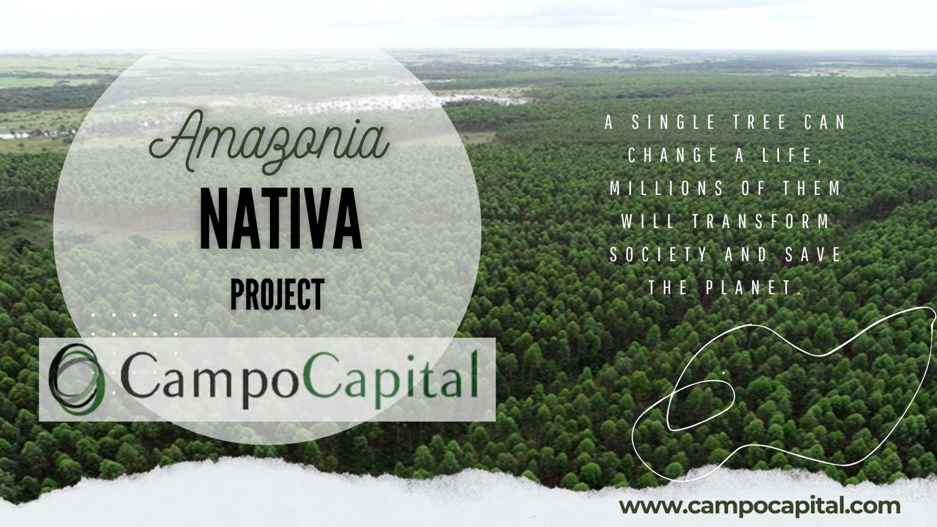 Campo Capital: Amazonia Nativa Project - UpLink - Contribution