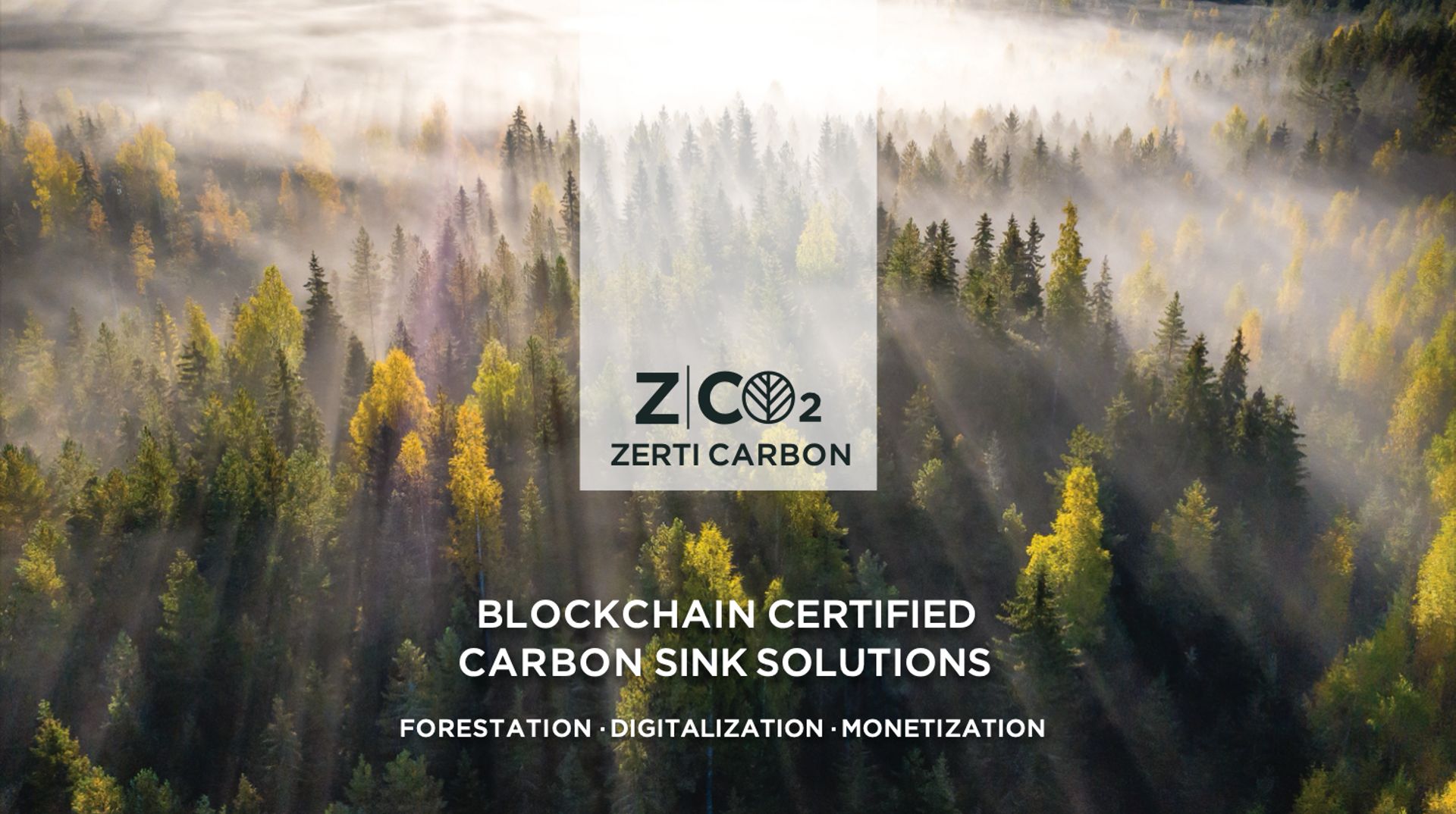 ZERTICARBON: Connecting companies and forest land owners in order to reach net-zero - UpLink ...