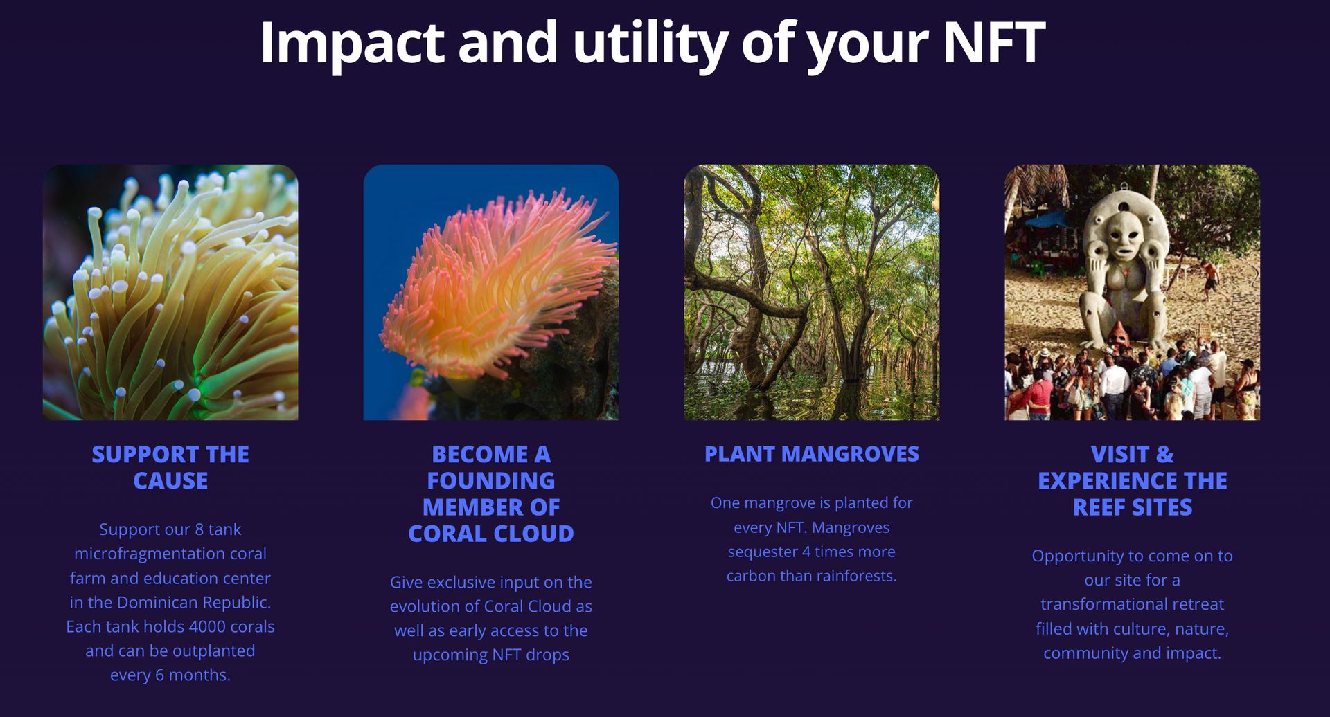 Global Coralition: Building a global community of coral reef protectors using NFTs - UpLink ...