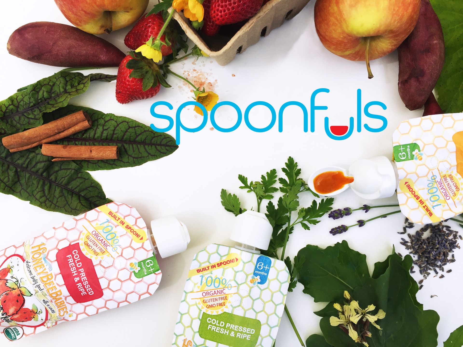 Spoonfuls Inc: Designing innovative sustainable patented reuse and ...