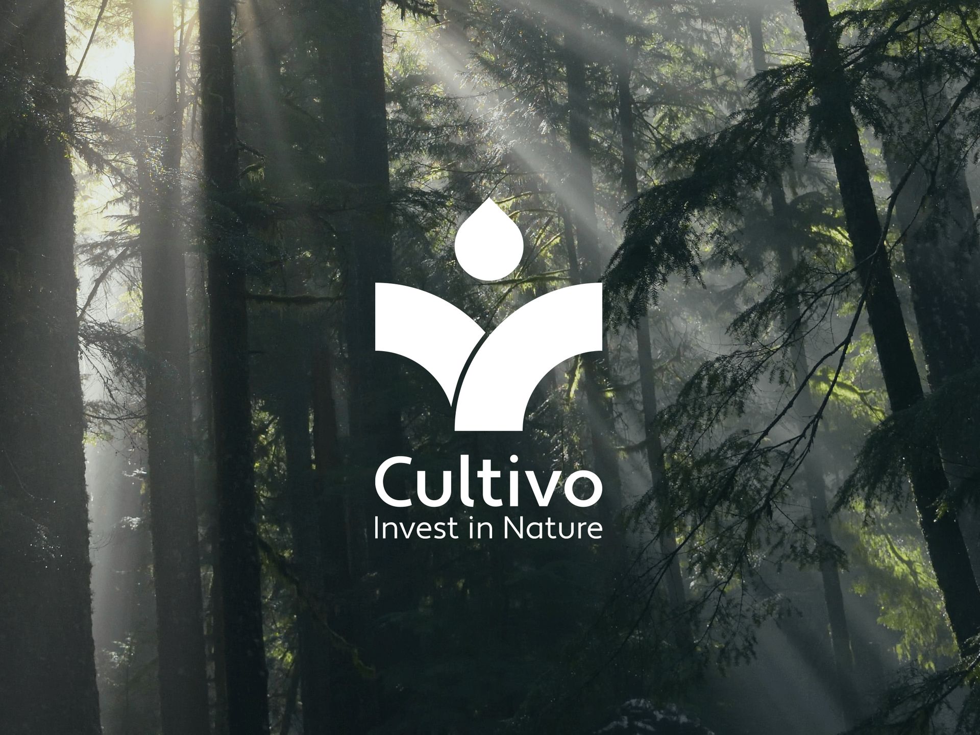 Contribution: Nature-based finance for a sustainable future