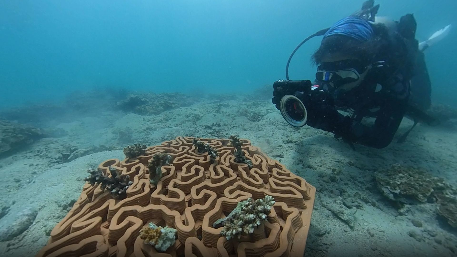 Contribution: Archireef, Ocean ecosystem restoration with 3D printed reefs