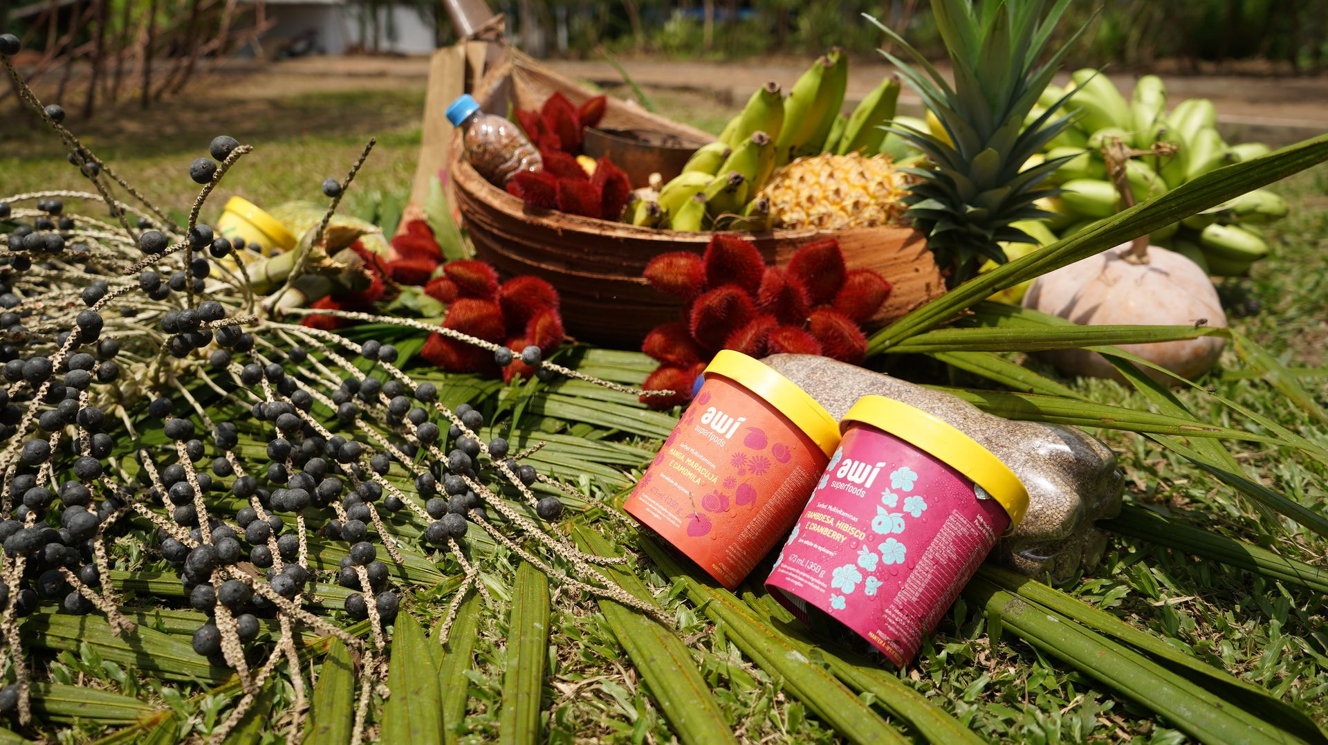 Contribution: Awí Superfoods, Food-for-good tech to promote ...