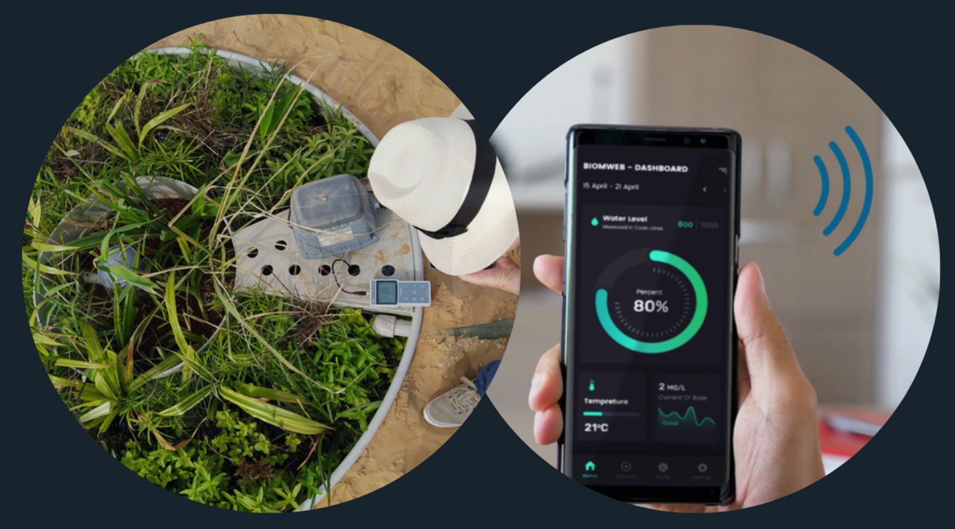 Contribution: Decentralized, nature-based, wastewater treatment system