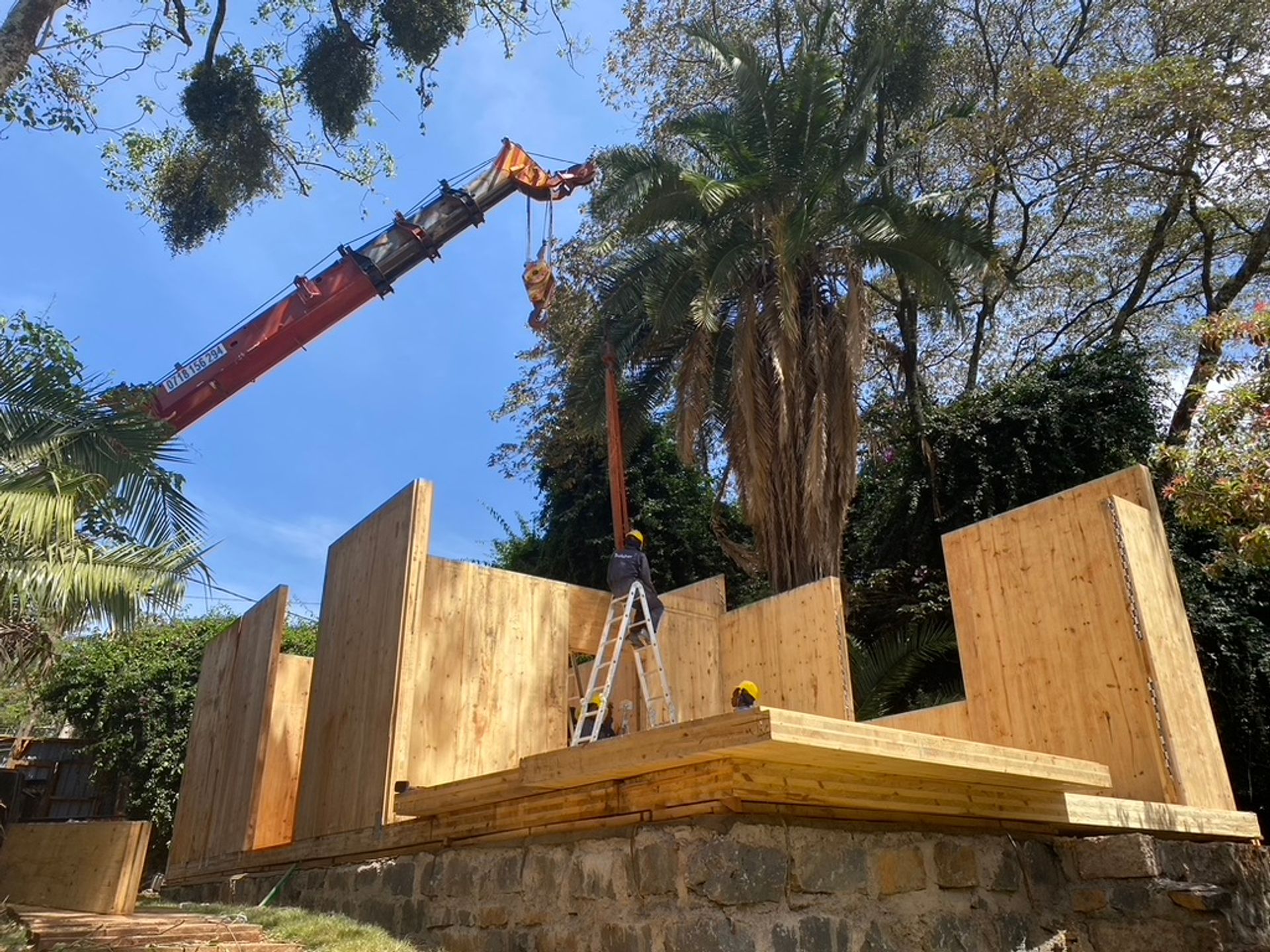 BuildX Studio: Forest to Frame: Catalysing mass timber construction in ...