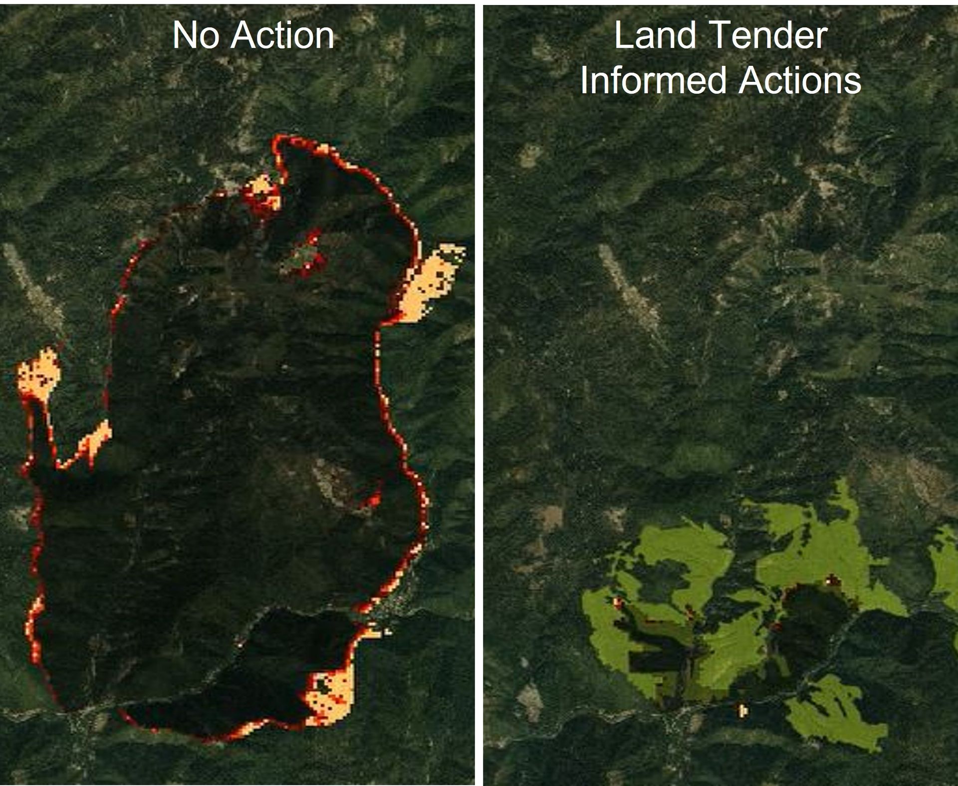 Contribution: Software tool for collaborative landscape management
