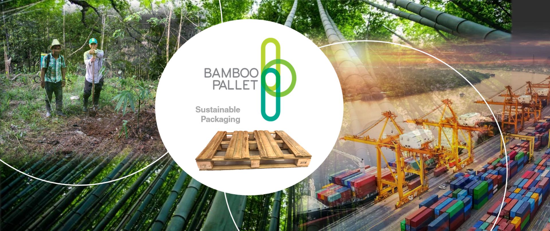 Bamboo Pallet: High-impact sustainable bamboo forest - UpLink - Contribution
