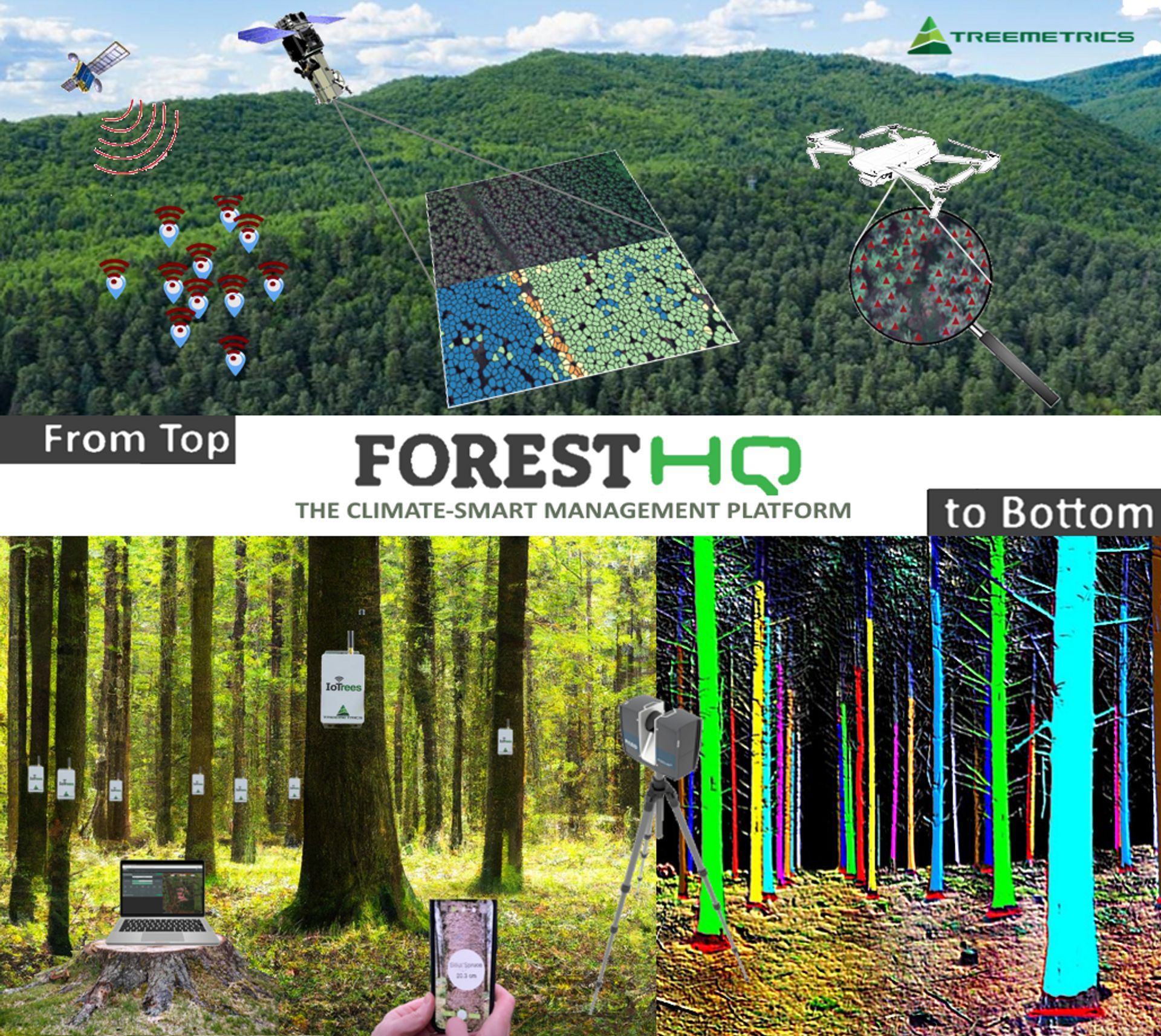 Treemetrics: NEW CLIMATE-SMART INTEGRATED FOREST MANAGEMENT SOLUTION ...