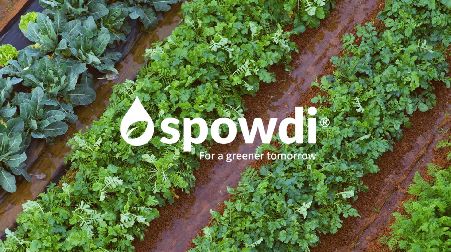 Spowdi: Smart fossil free solar-powered small hold farming through ...