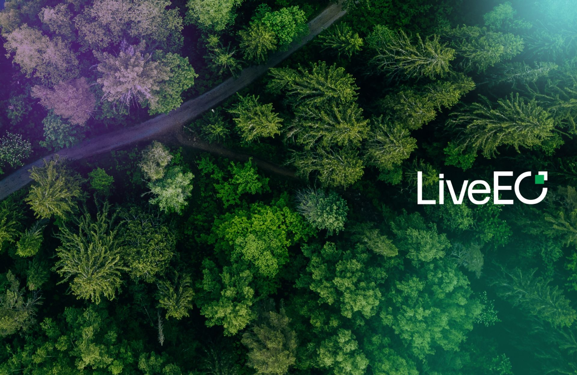 LiveEO: Detect forest threats early on - UpLink - Contribution