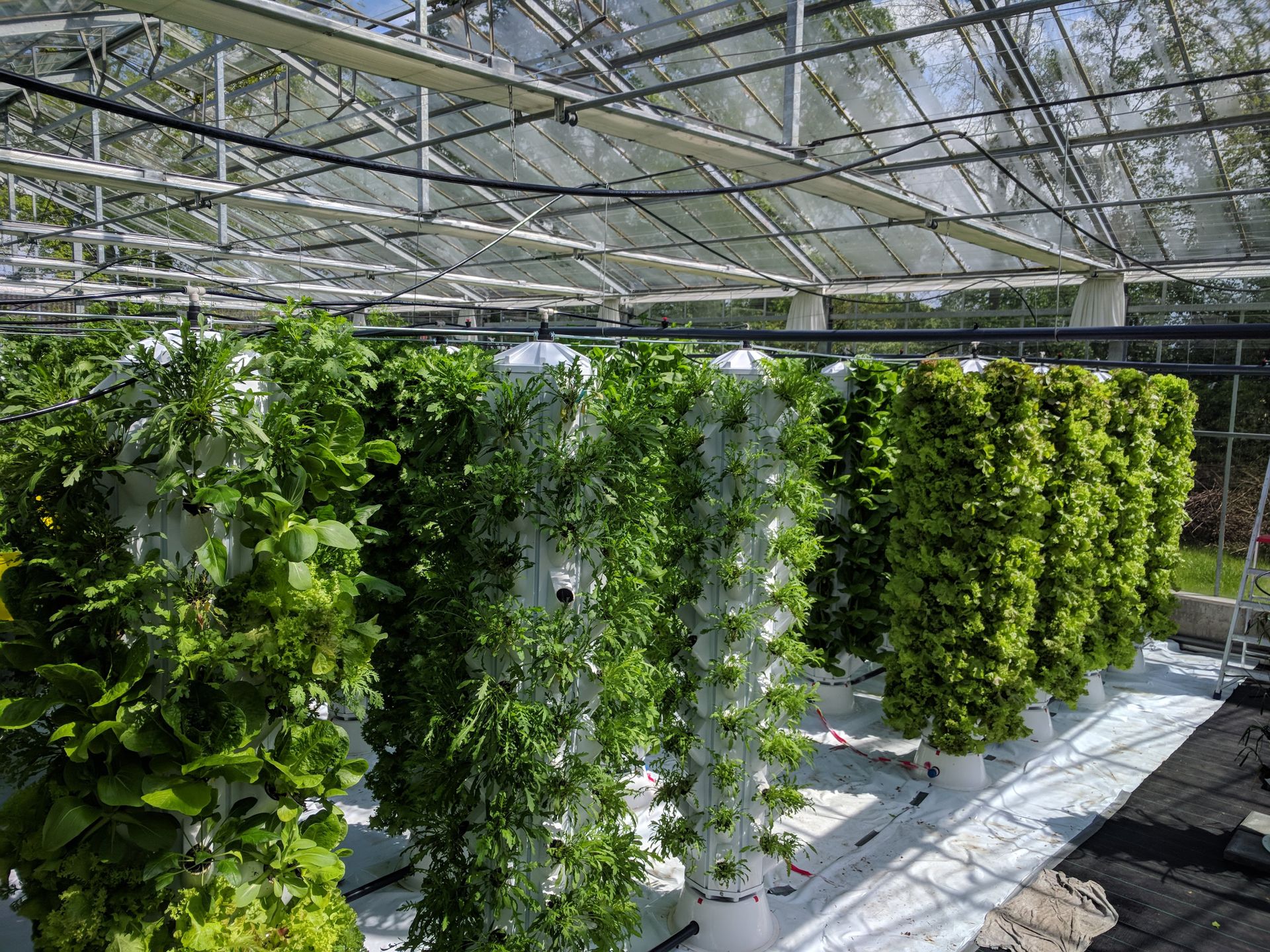 Urban Ponics: Polyculture Oasis Urban Farms - MistPonics & proven ...