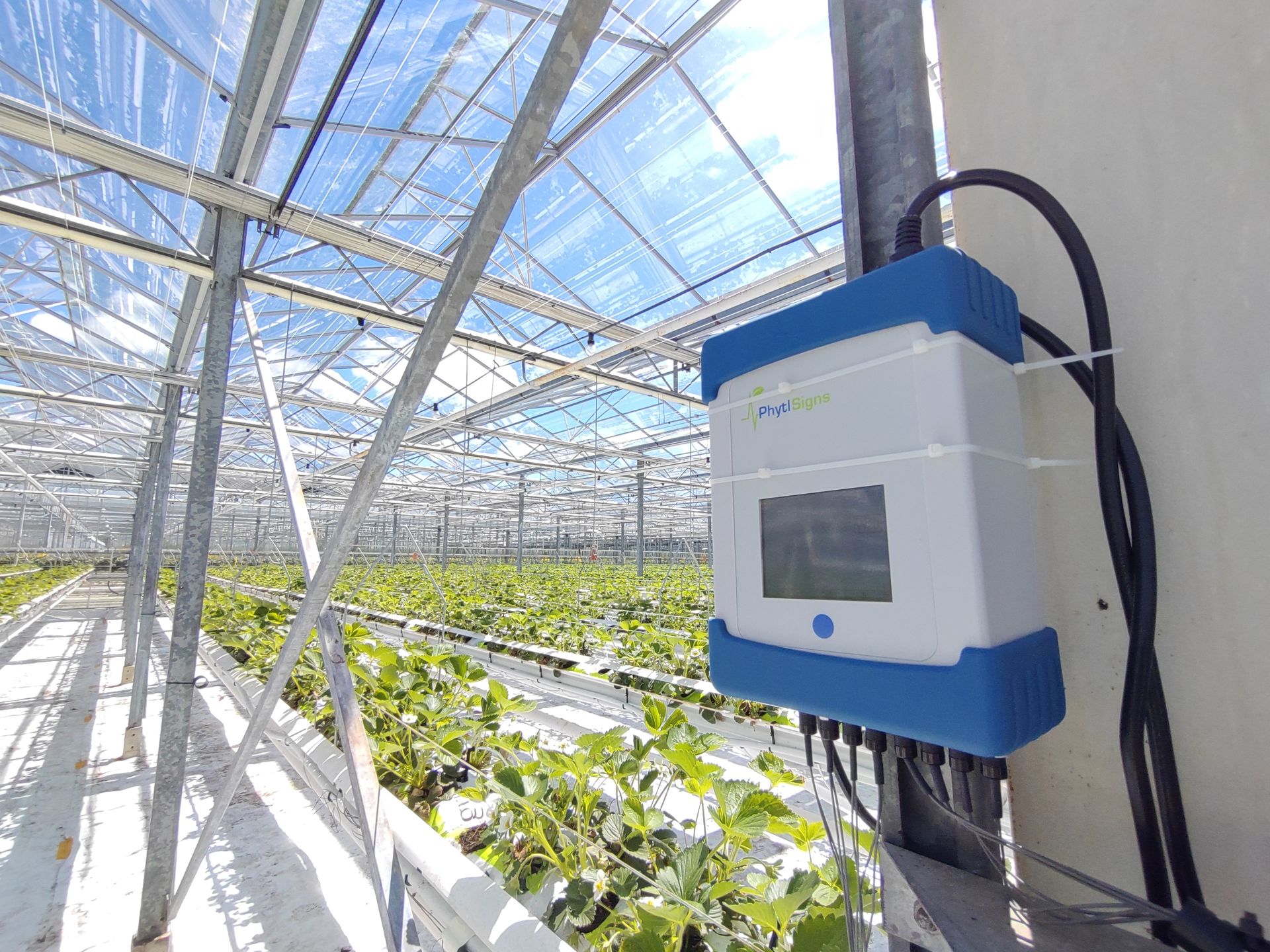Contribution: "Wearables for plants" - realtime crop health monitoring
