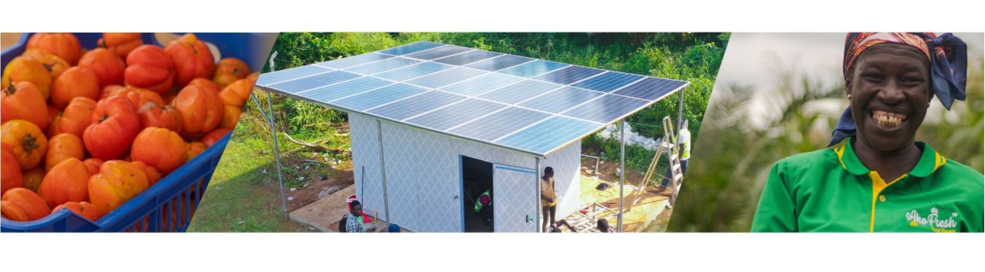 Contribution: AkoFresh