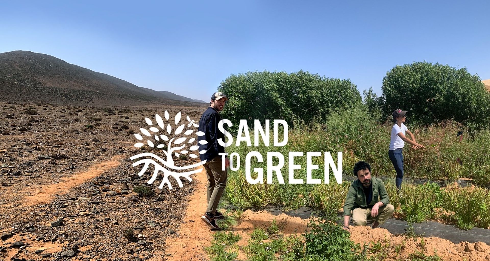 Sand to Green - UpLink - Contribution