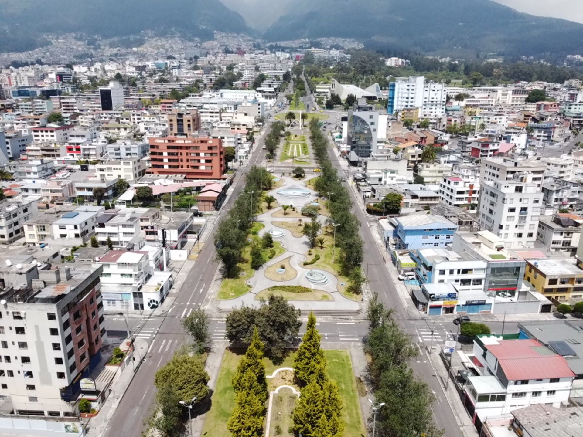 Fundacion Great Leaf: Reconnecting biodiversity in the heart of Quito ...