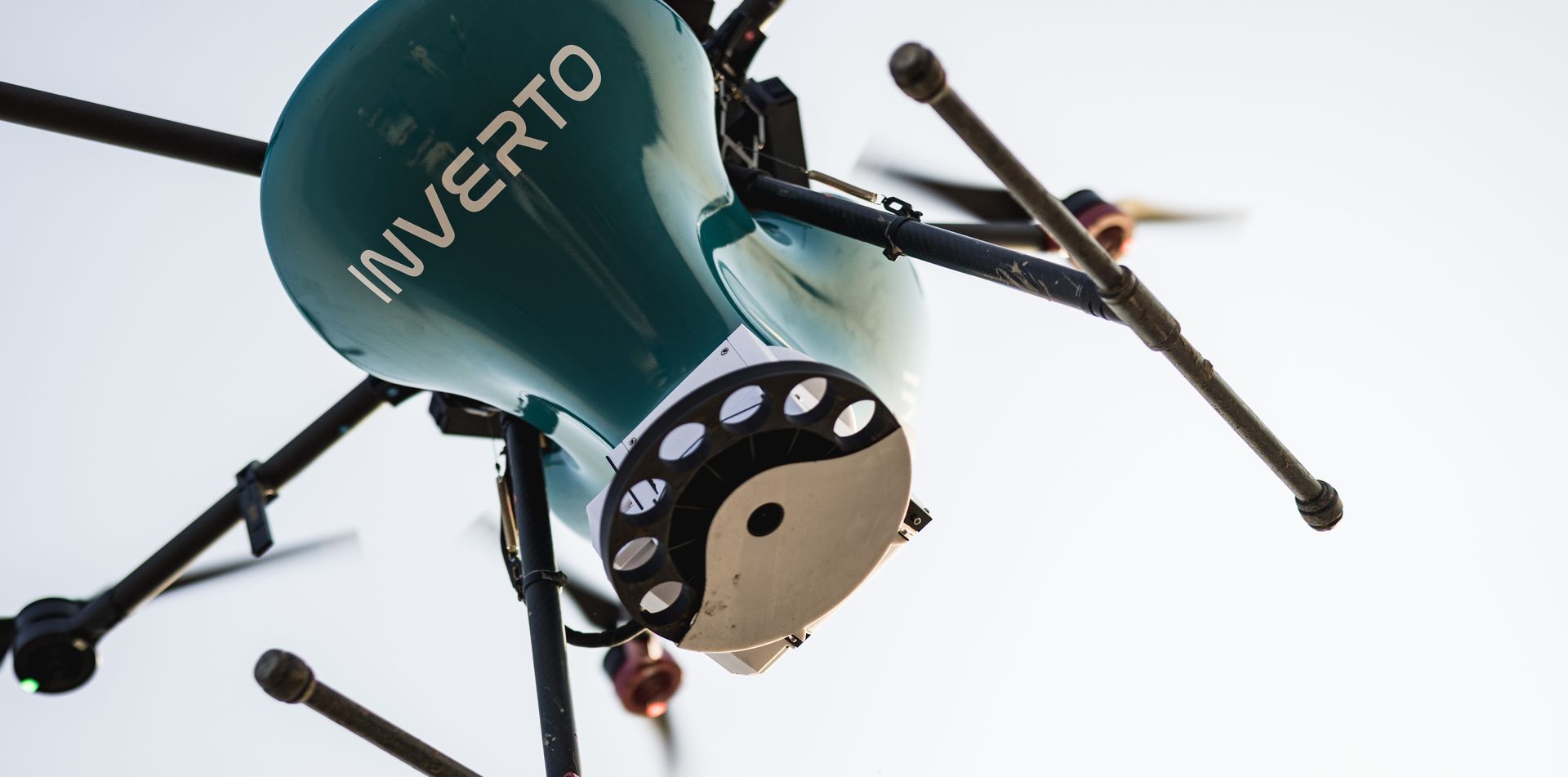 Inverto Earth: Transparent action for coastal forests - UpLink ...