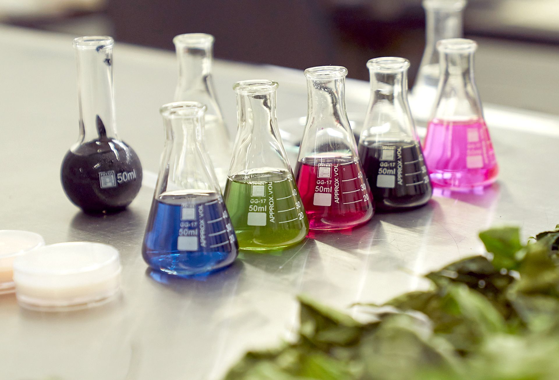 Contribution: High value-added natural ingredients and colours