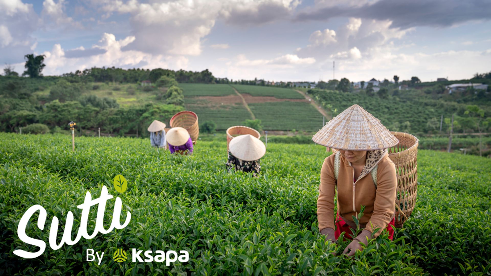 KSAPA: SUTTI - Scale-Up Training Traceability Impact - UpLink ...