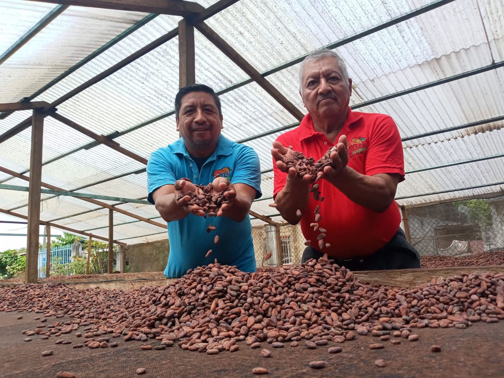 Organización de productores de cacao sostenible Rayen, S.P.R. de R.L ...