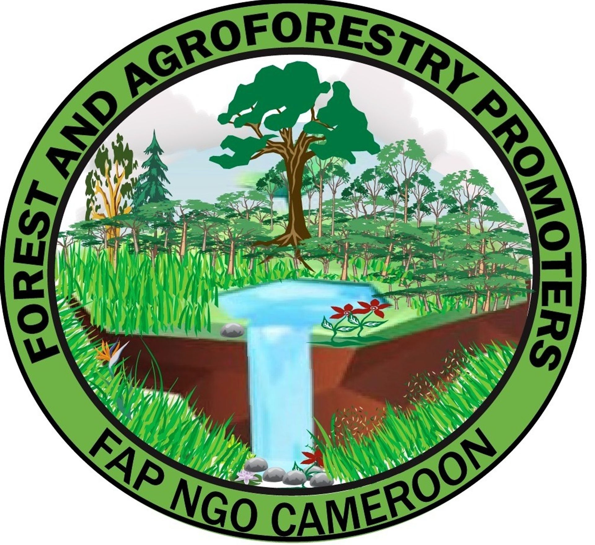Forest and Agroforestry Promoters (FAP): Women and Youths Nature base ...