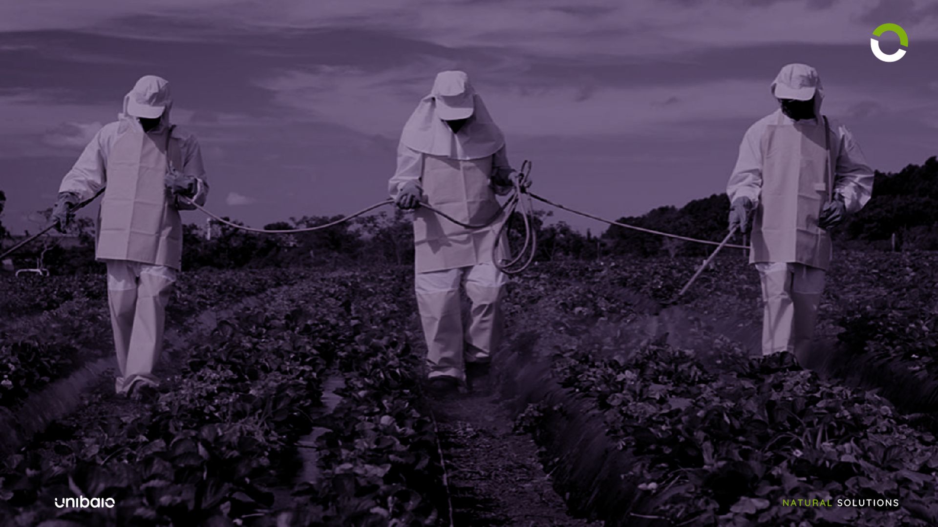 Contribution: Smarter pesticides to reduce chemical use in agriculture