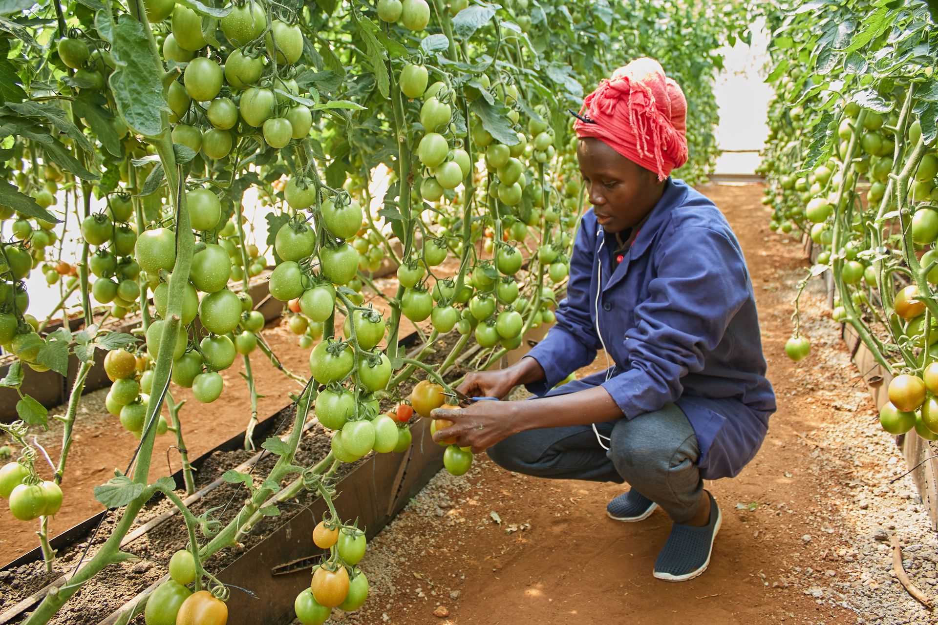 Human Needs Project: Sustainable Agriculture through Solar-Powered ...