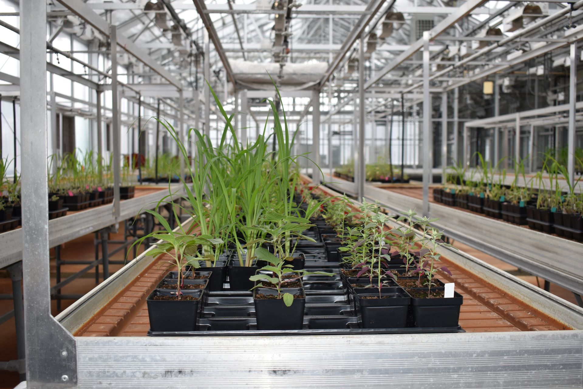 Enko Chem, Inc.: AI Ramps Up Ag R&D: The New Eco+Chem Era for Sustainable Ag - UpLink - Contribution