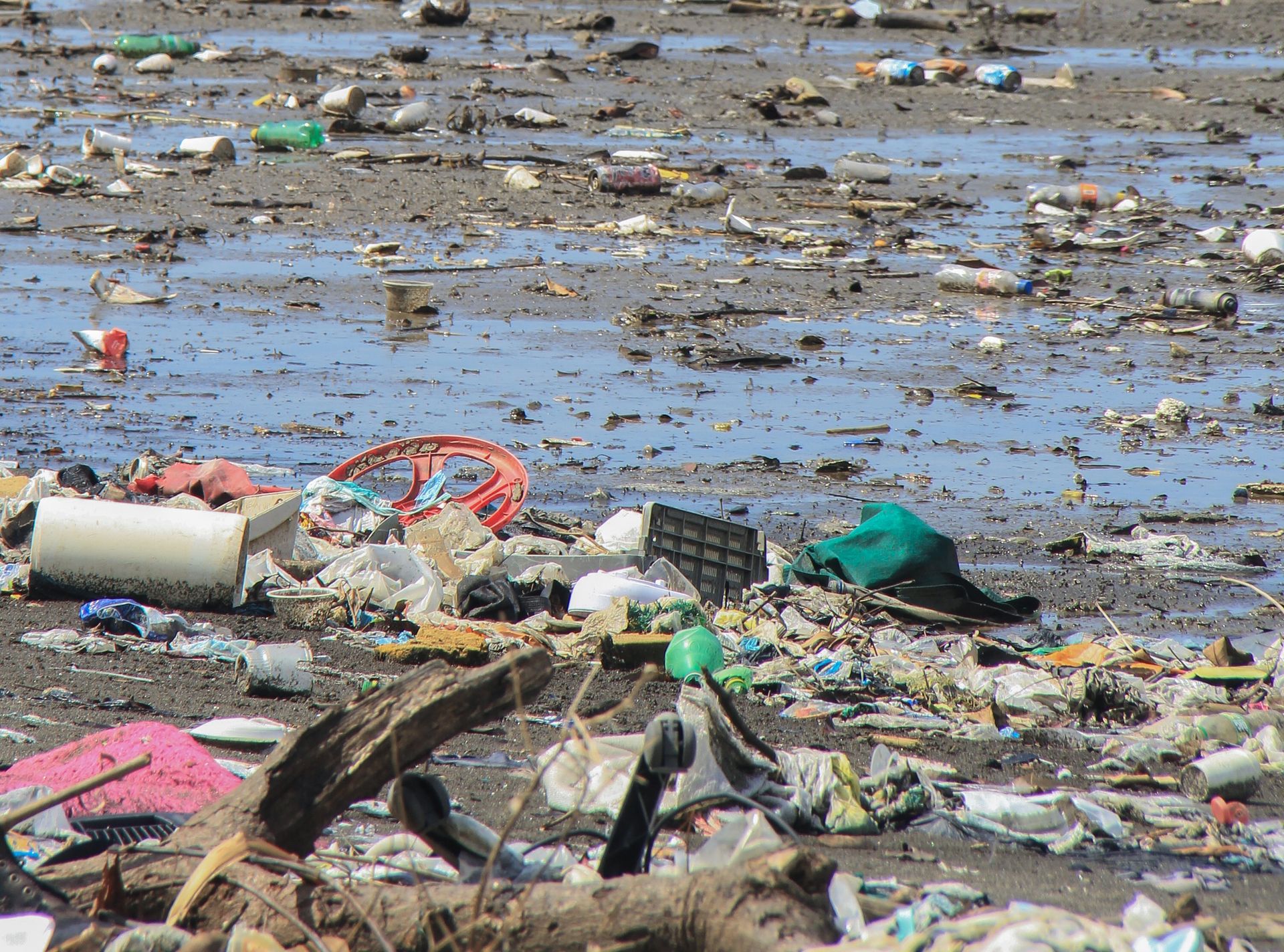 Cyclei: Eliminating Single Use Disposables with Reusables - UpLink ...