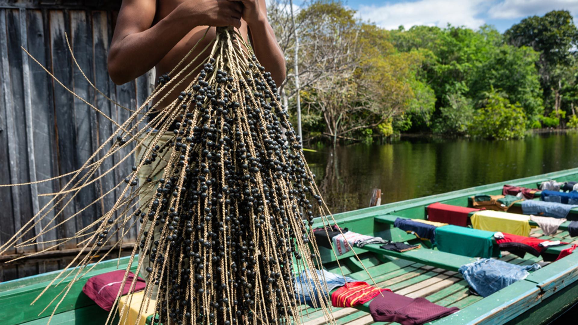 Contribution: Integration and management of forest production chains