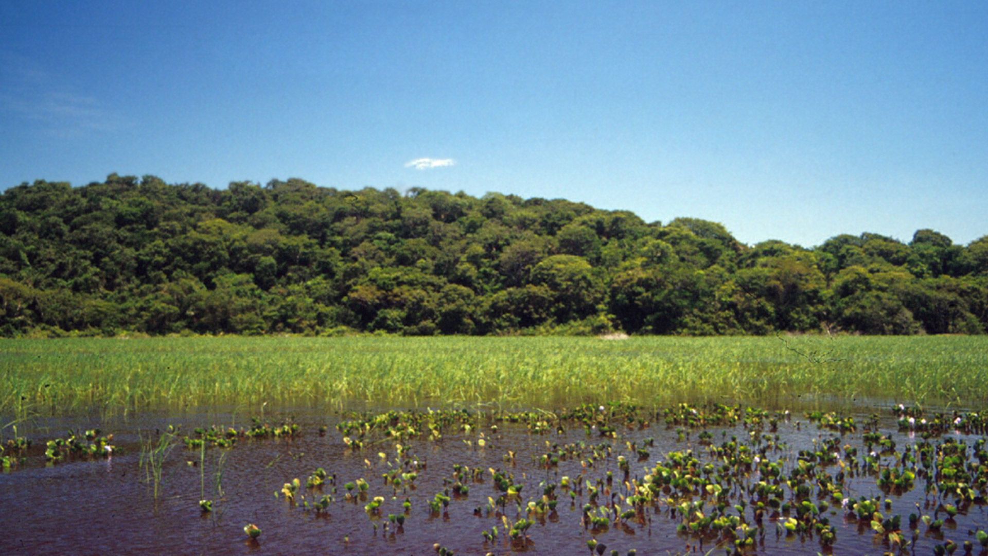 Amazônia 4.0 Institute: Empowering Brazilian Amazon communities ...